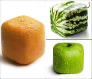 9 Best Native Japanese Fruits That You Should Try – Gardening For You