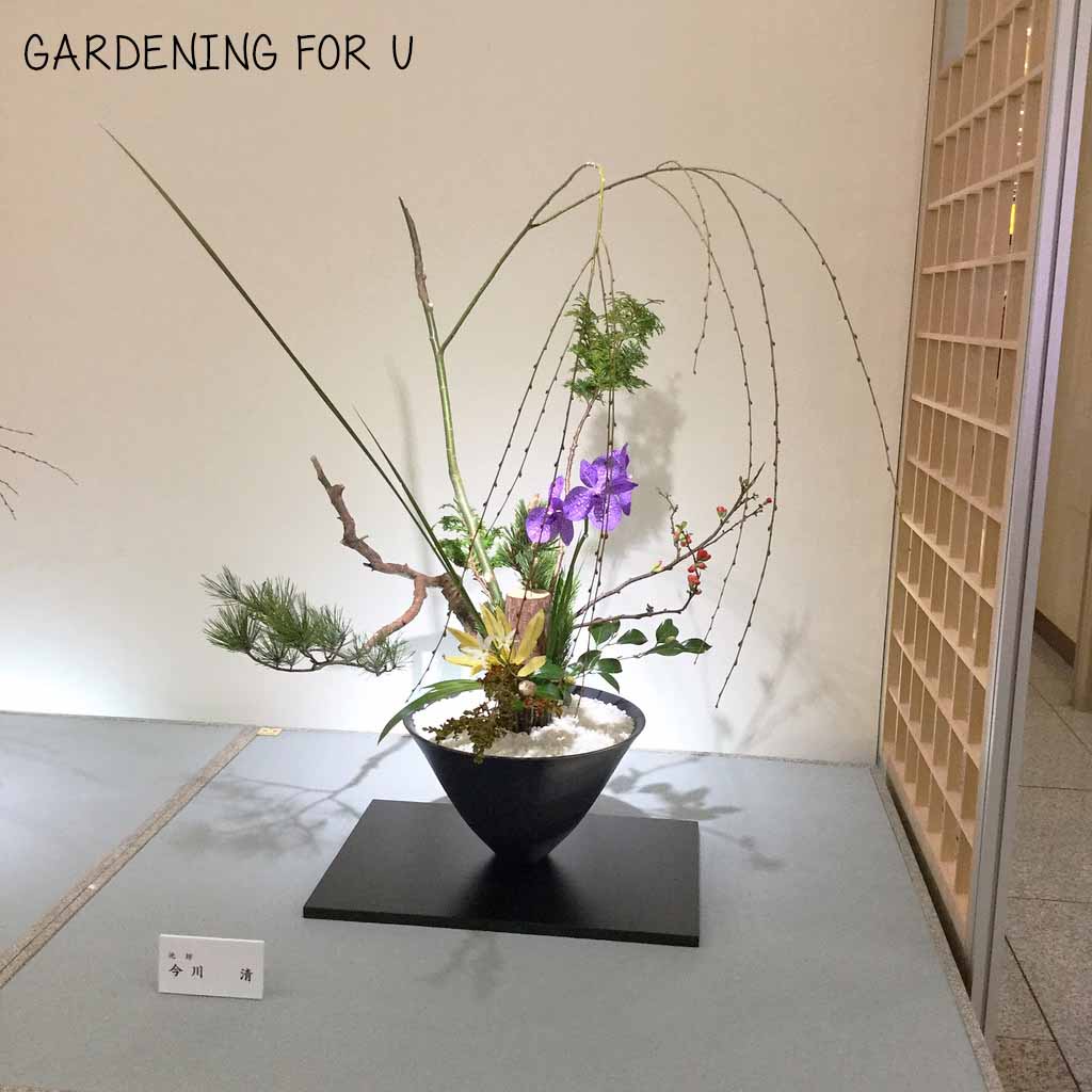 What is Ikebana? |Ikebana for Beginners (2023 Guide)