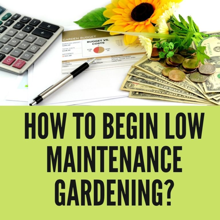 How To Begin Low Maintenance Gardening? (2021) - Gardening For You