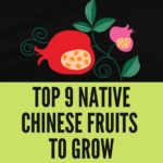 Top 9 Native Chinese Fruits to Grow in 2021