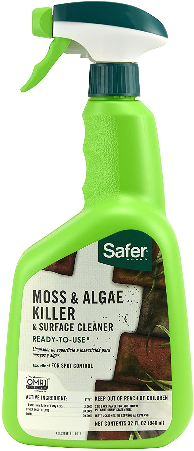 Top 9 Best Insecticide for Vegetable Garden in 2023 – Gardening For You